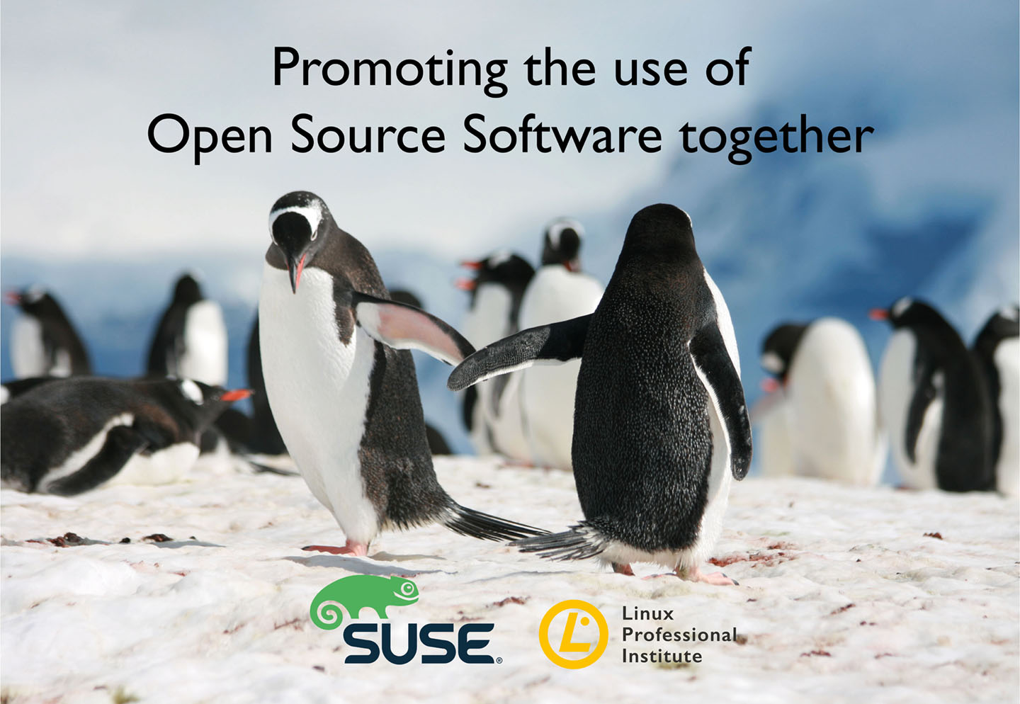 Linux Professional Institute teams up with SUSE Academic Program to ...
