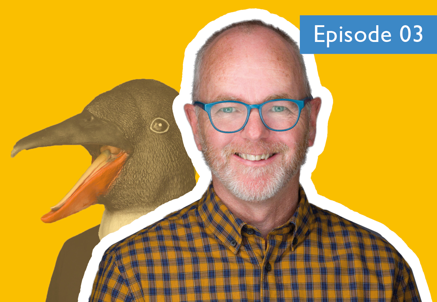 The People behind the Learning Portal: Andrew Mallett, Learning Materials Developer - Linux ...