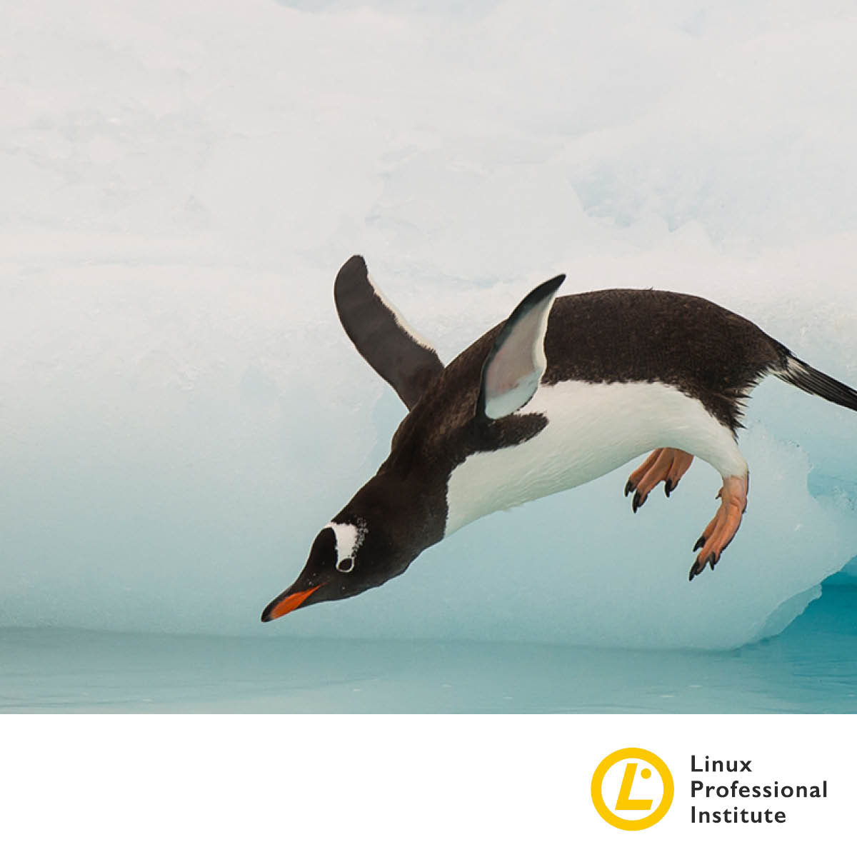 LPI Japan Branch Hosts Community Meeting 2025 - Linux Professional ...